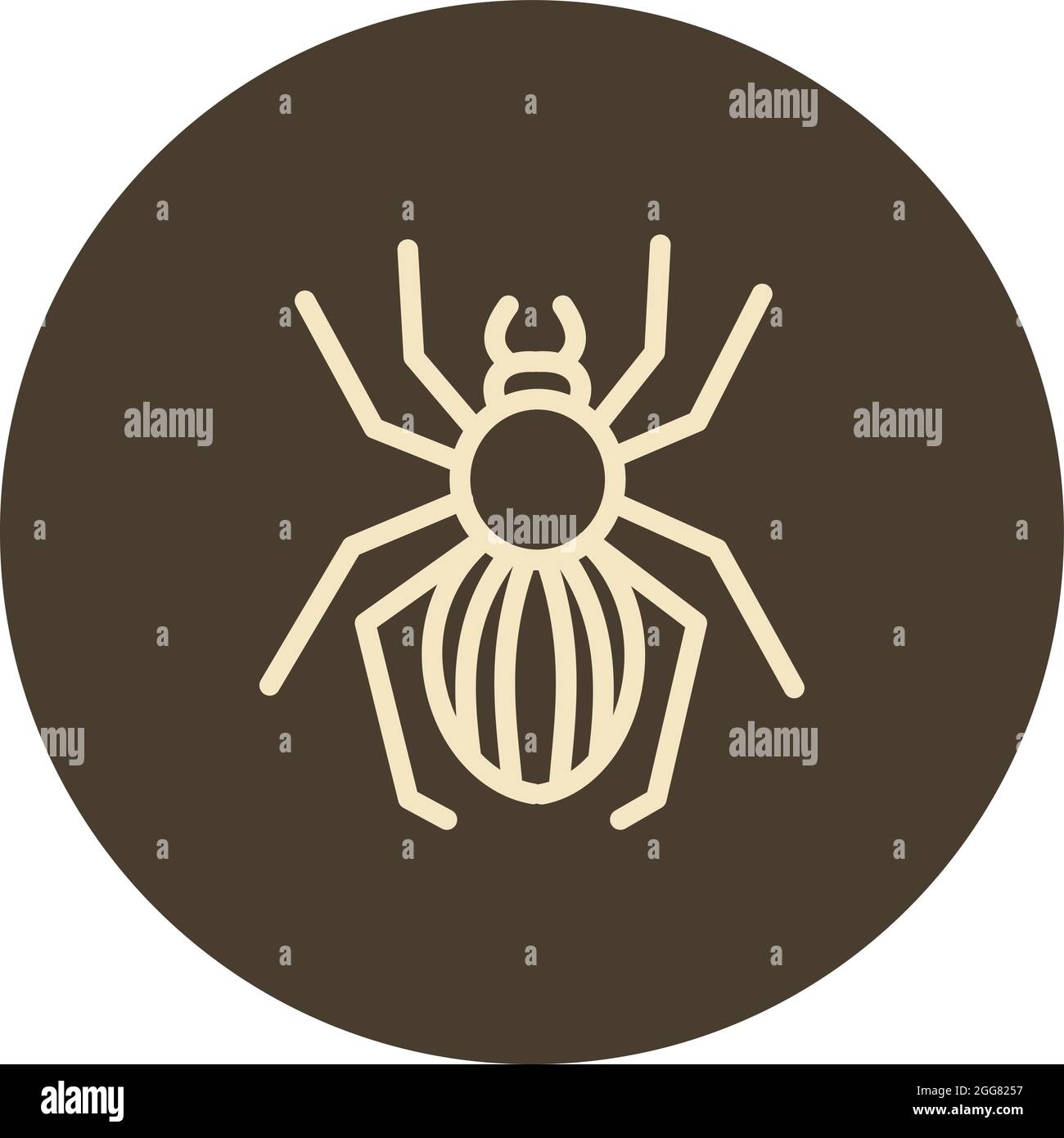 Spider on the leaf Stock Vector Images - Alamy
