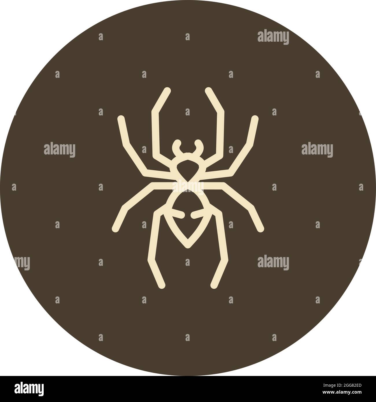 Tiny spider, illustration, on a white background Stock Vector Image ...