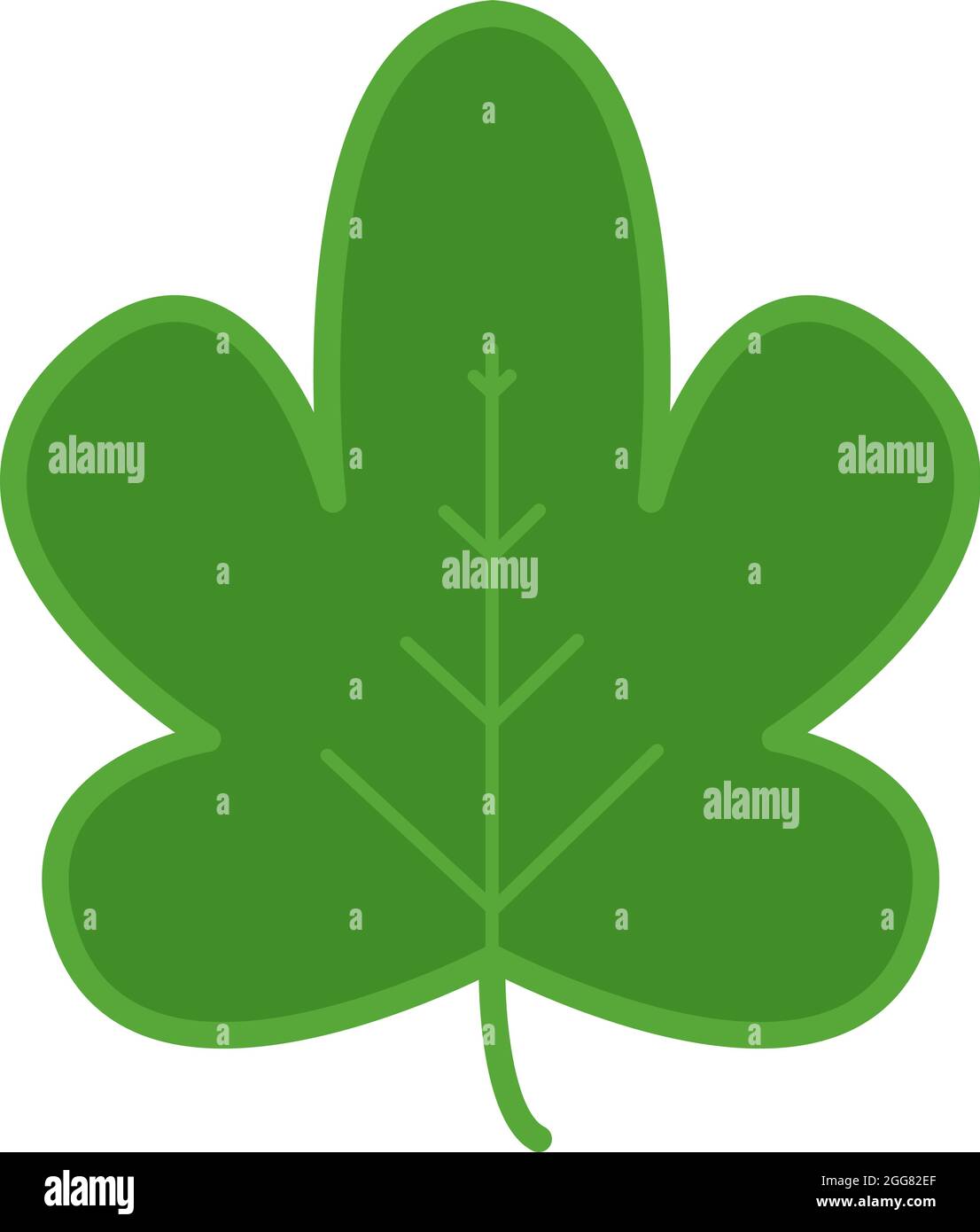 Five part leaf, illustration, on a white background Stock Vector Image ...