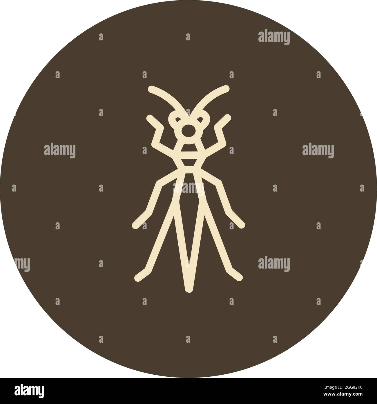 Cricket insect Stock Vector Images - Alamy