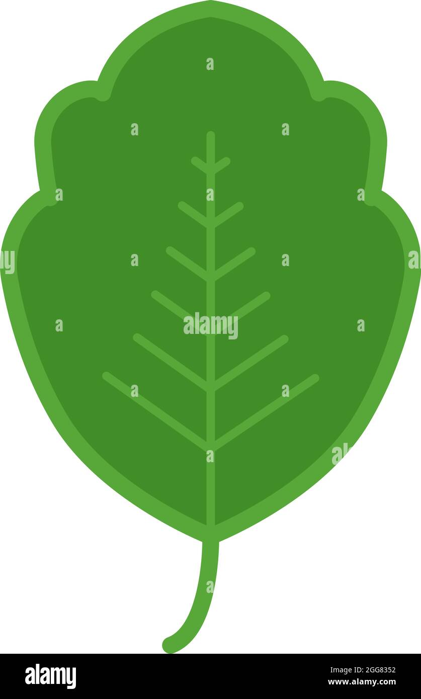 Small green leaf, illustration, on a white background Stock Vector ...