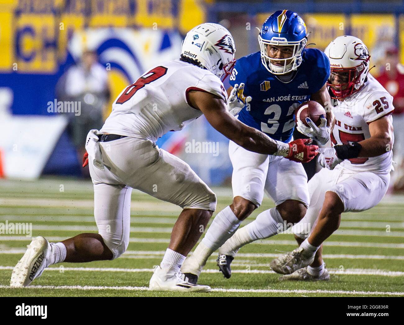 Jayden fox hi-res stock photography and images - Alamy