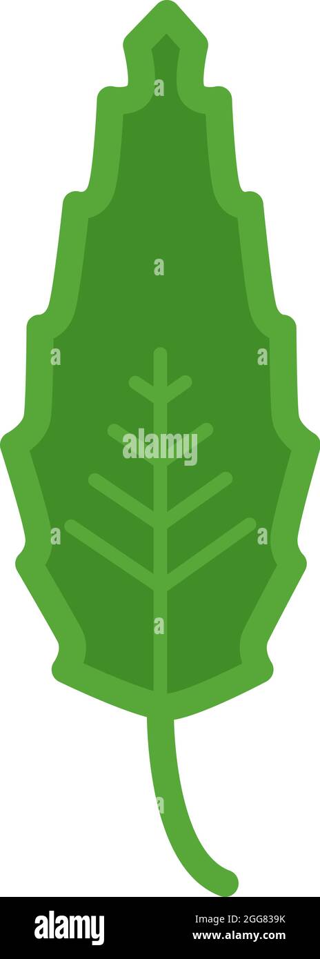 Different forest decor on Stock Vector Images - Alamy