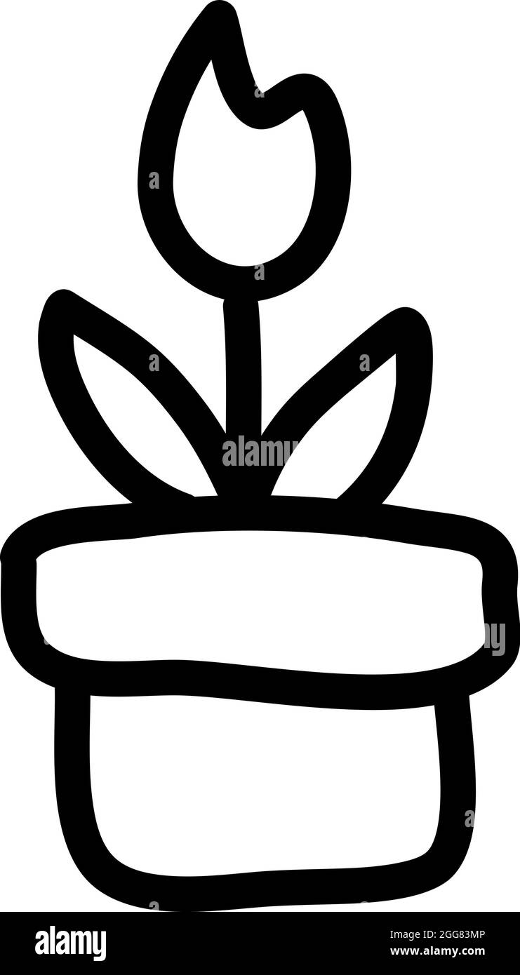 White narcissus in spring Stock Vector Images - Alamy