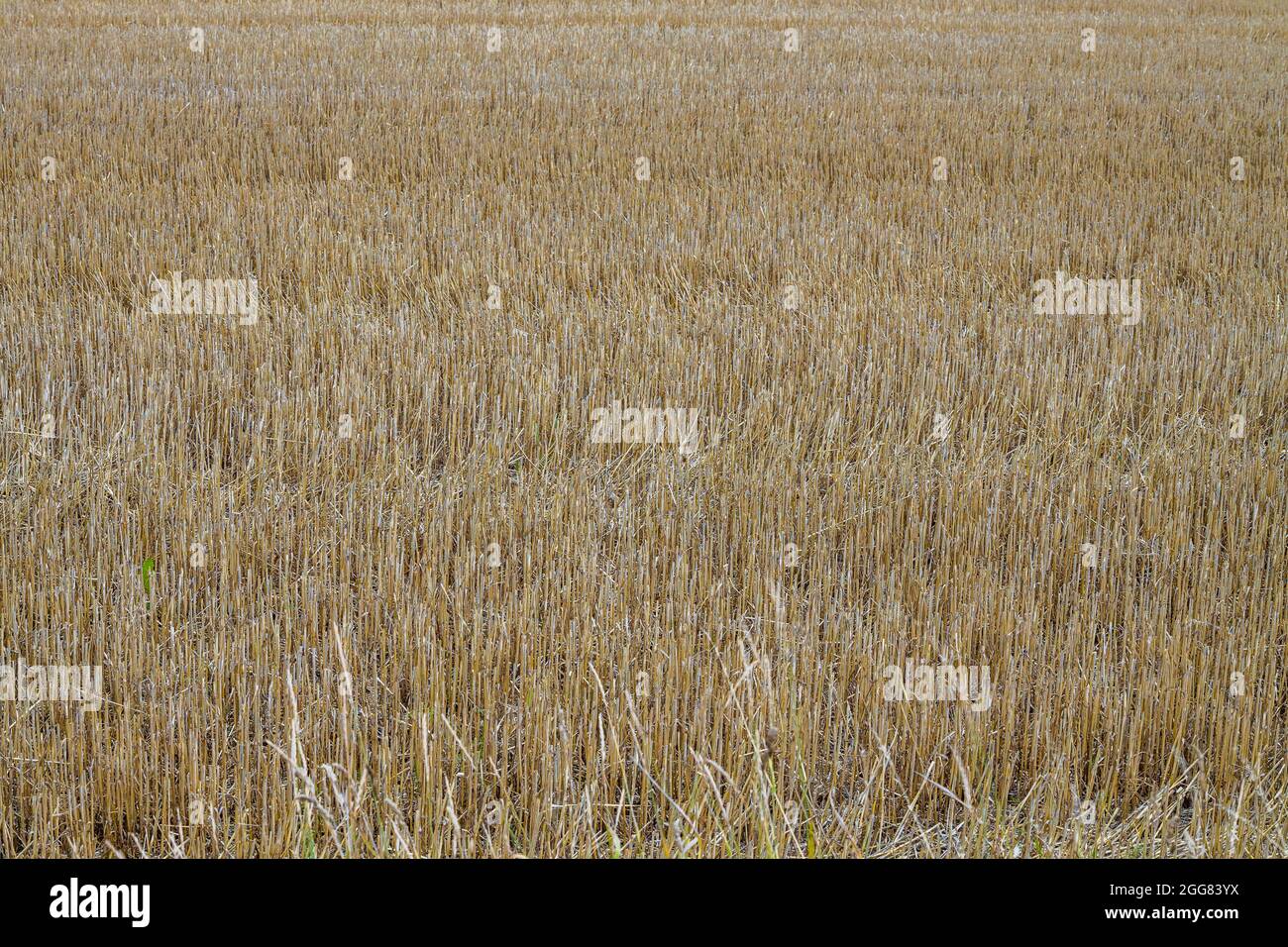 Beautiful nature landscape view hi-res stock photography and images - Alamy