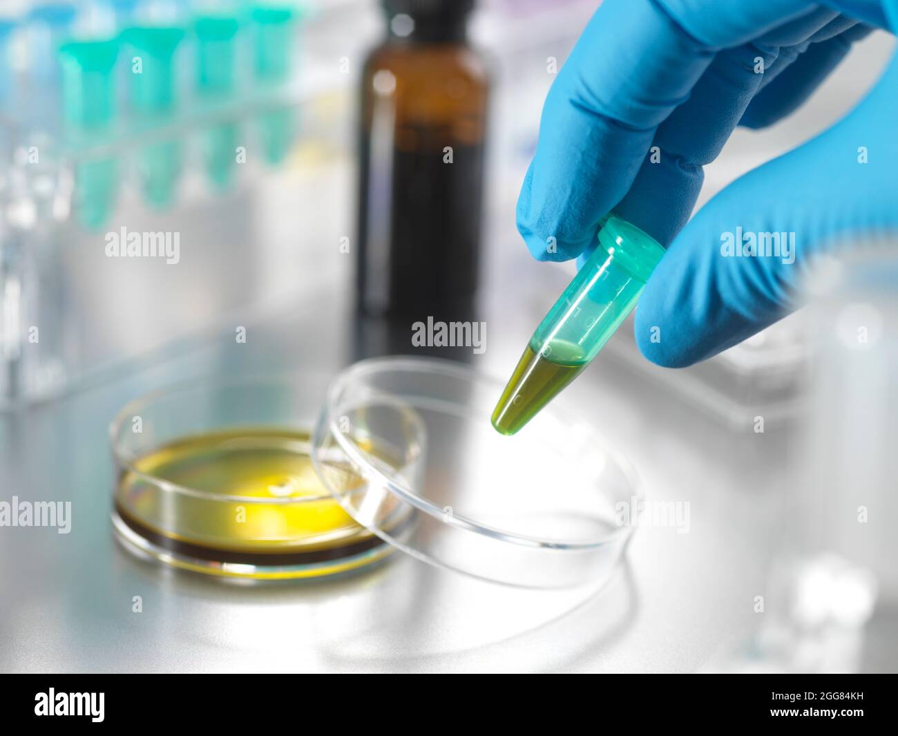 Holding vial hi-res stock photography and images - Alamy