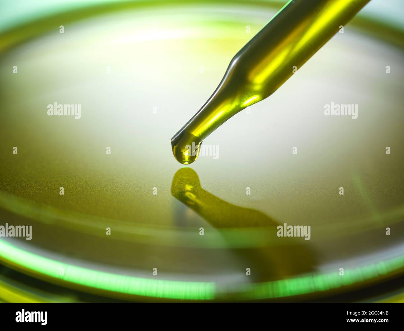 Pipette with essential oil Stock Photo - Alamy