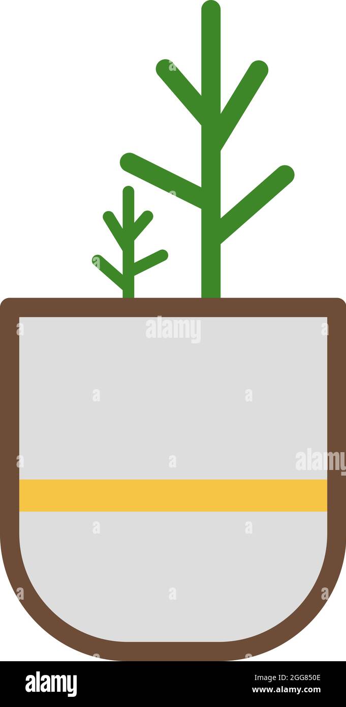 Jade plant in pot, illustration, on a white background Stock Vector ...