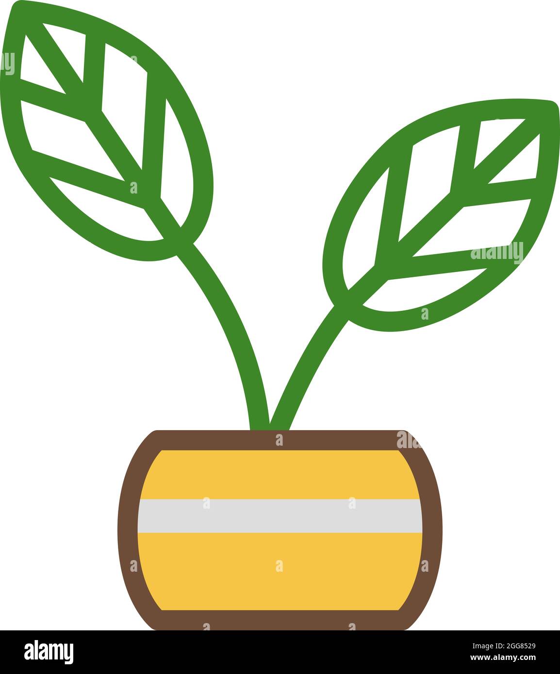 Coffee tree plant in Cut Out Stock Images & Pictures - Alamy