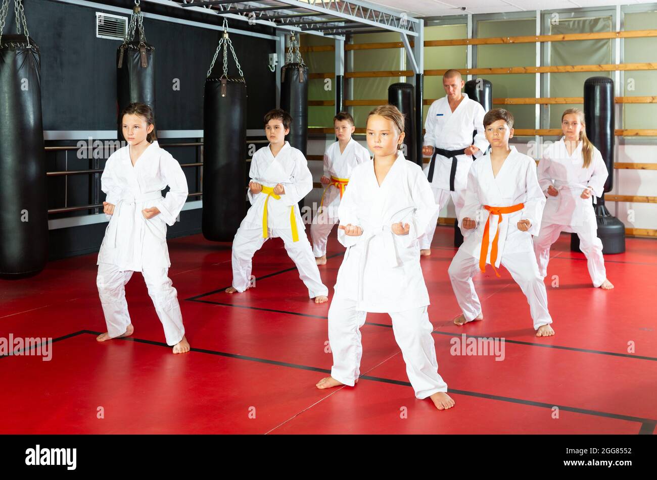 Schoolchilds practicing new technique in karate class Stock Photo - Alamy