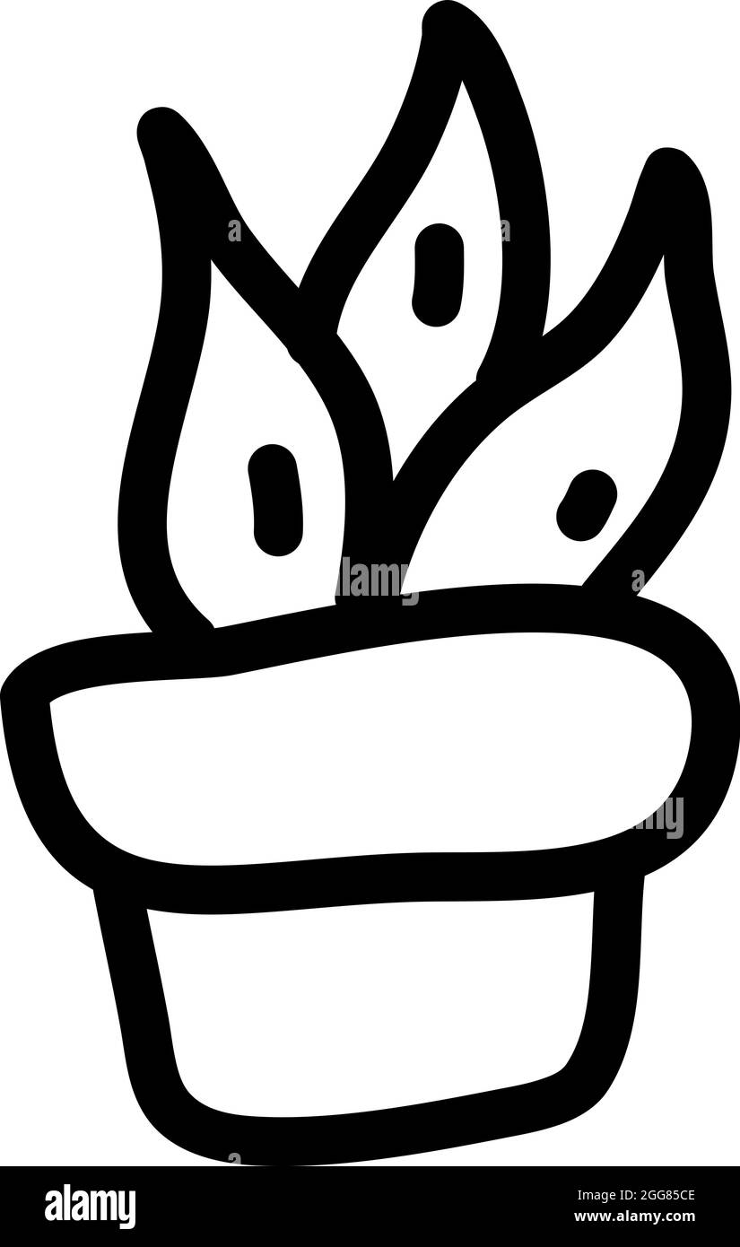 Sand aloe in pot, illustration, on a white background Stock Vector ...