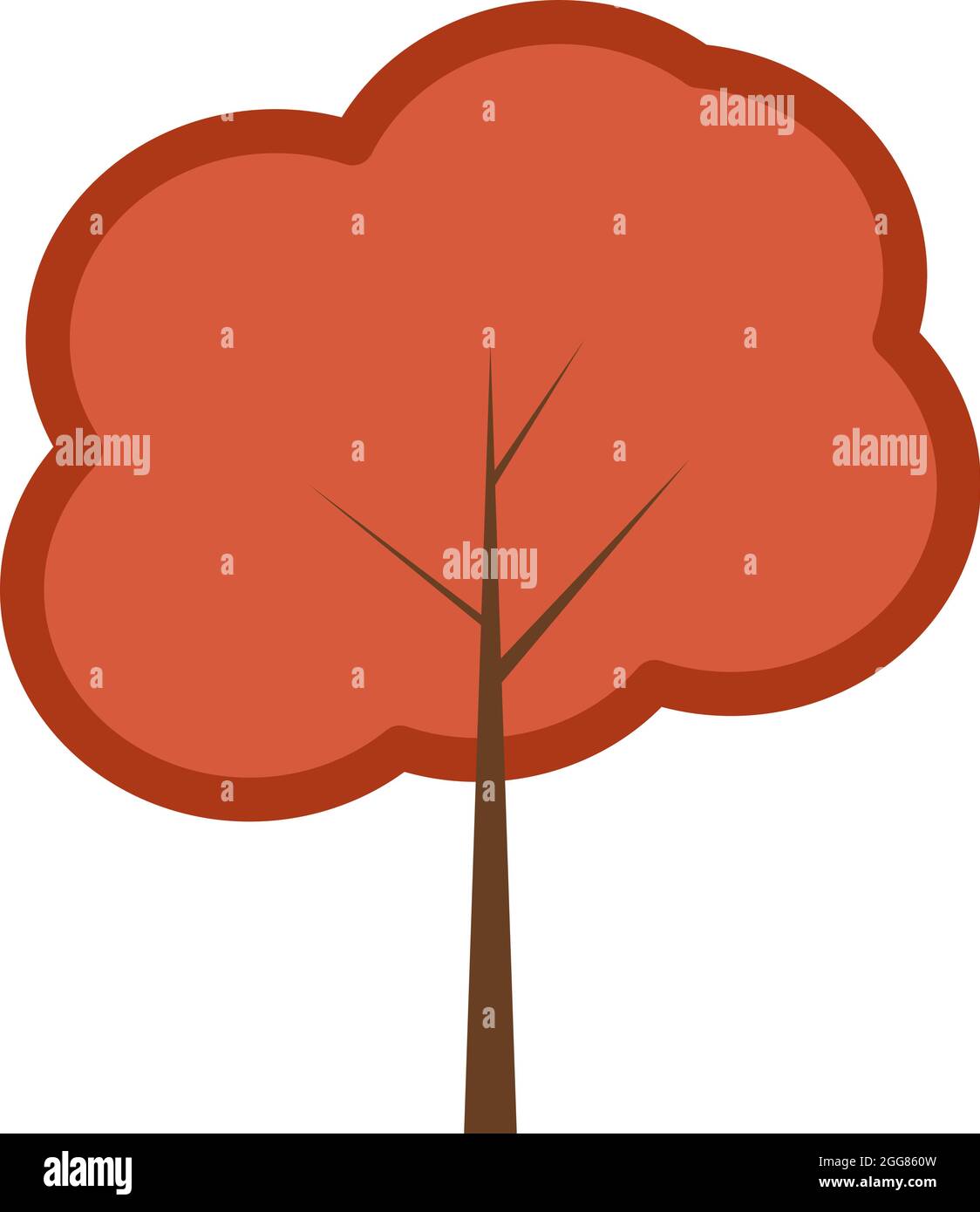 Brazil nut tree, illustration, on a white background Stock Vector Image ...