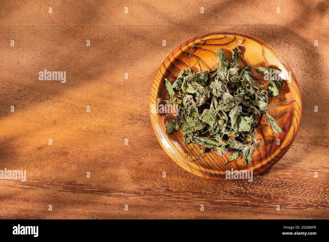 Dry dehydrated leaves of guasca - Galinsoga parviflora Stock Photo - Alamy