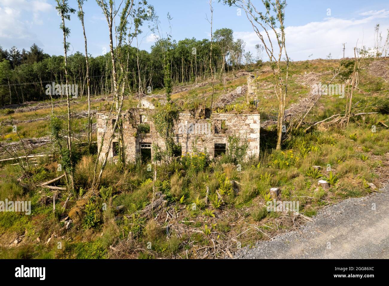 A ruined abandoned building in a field covered in greenery under the ...