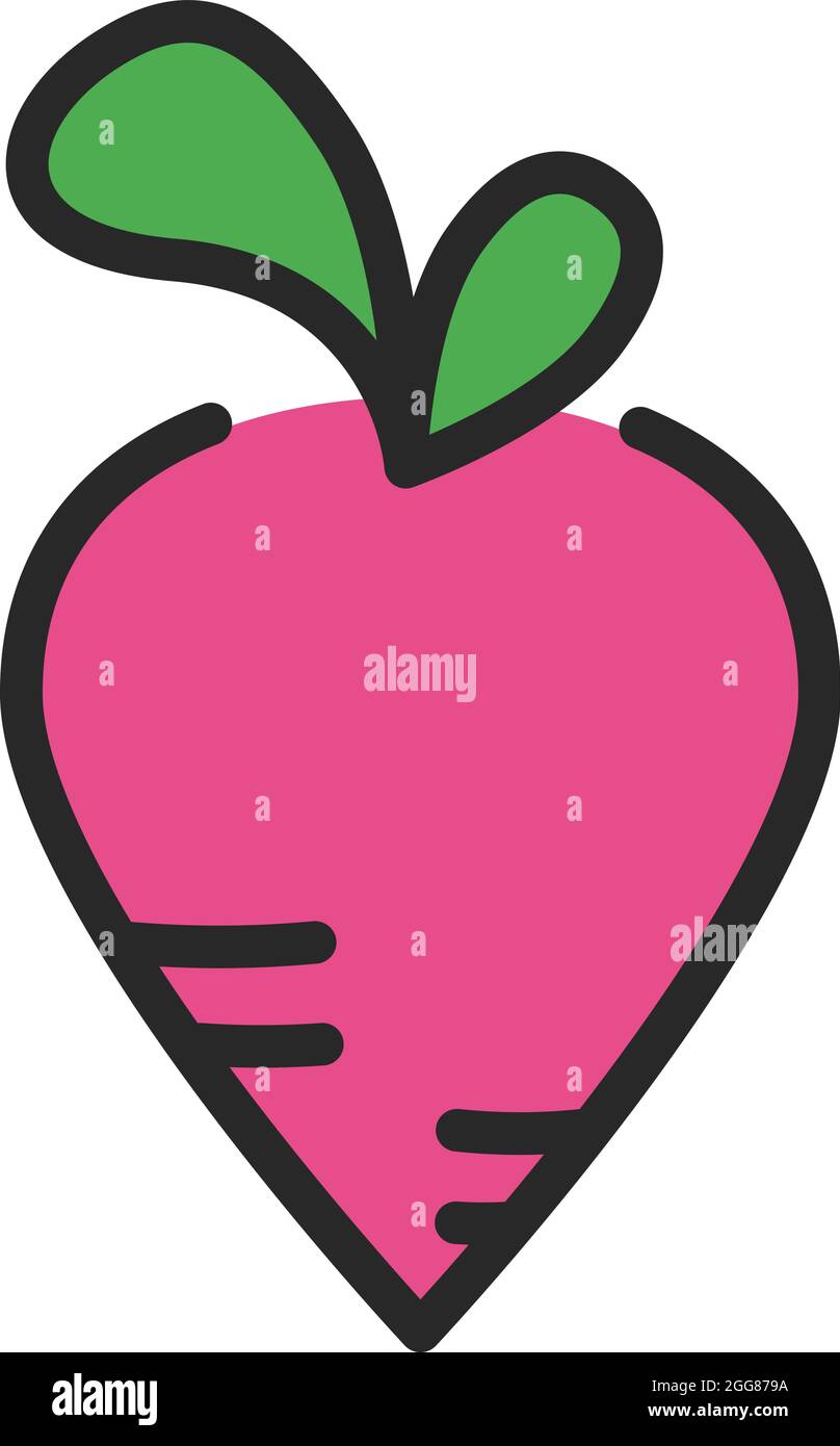 Pink fresh beet, illustration, on a white background Stock Vector Image ...