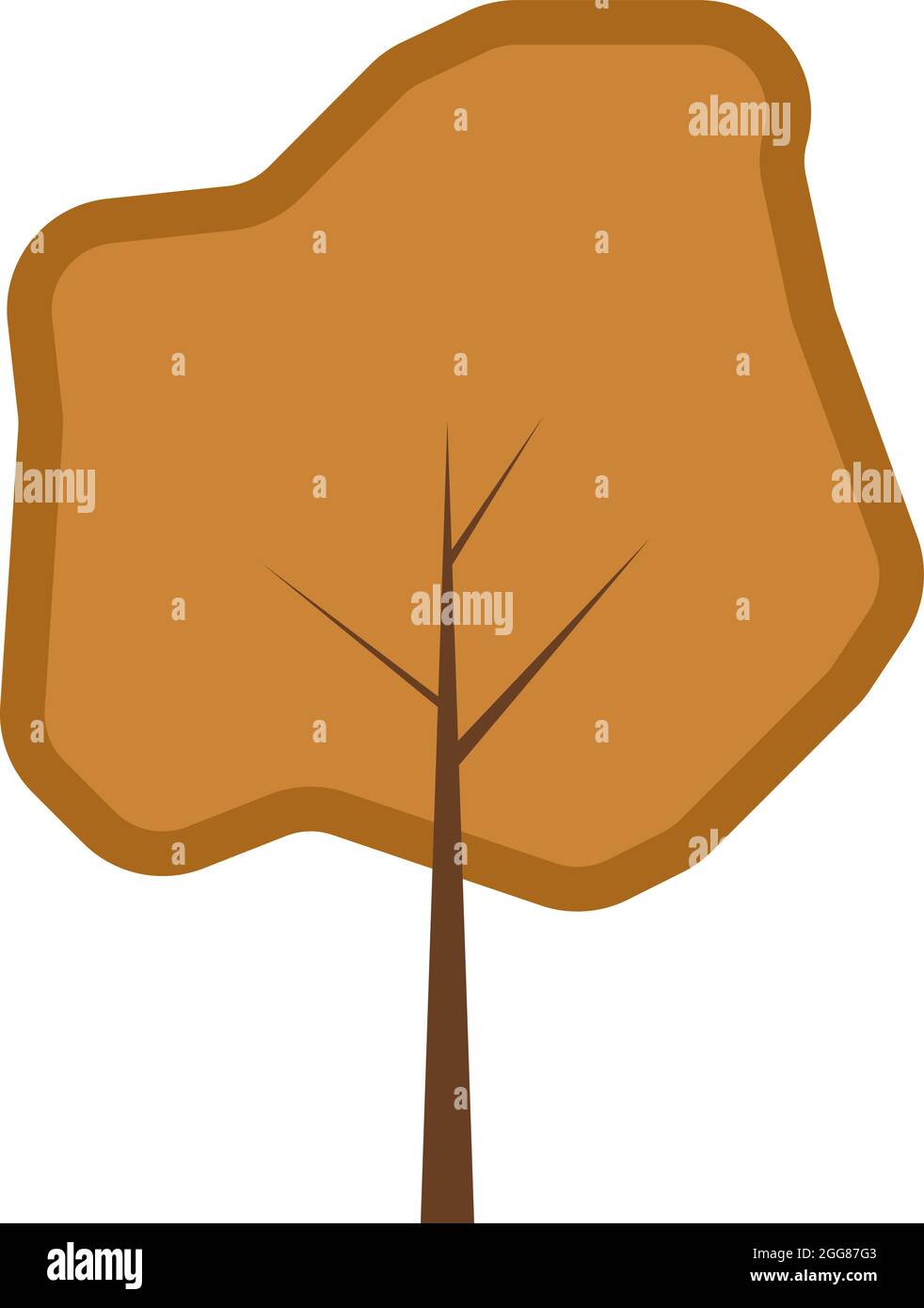 White star spring flower Stock Vector Images - Alamy