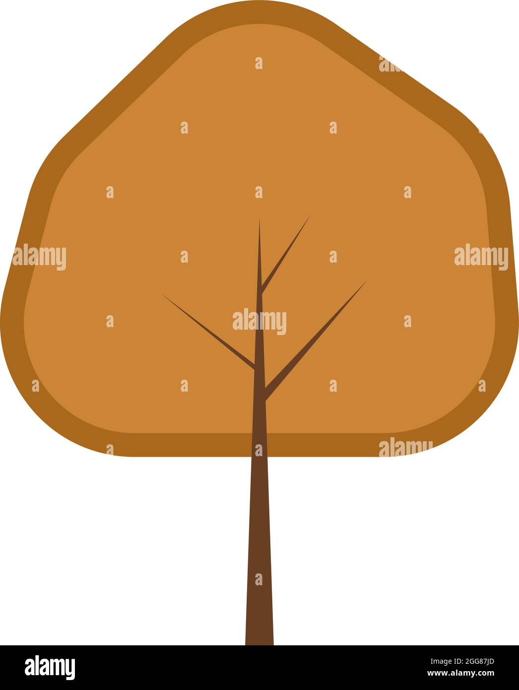 Pecan tree, illustration, on a white background Stock Vector Image ...