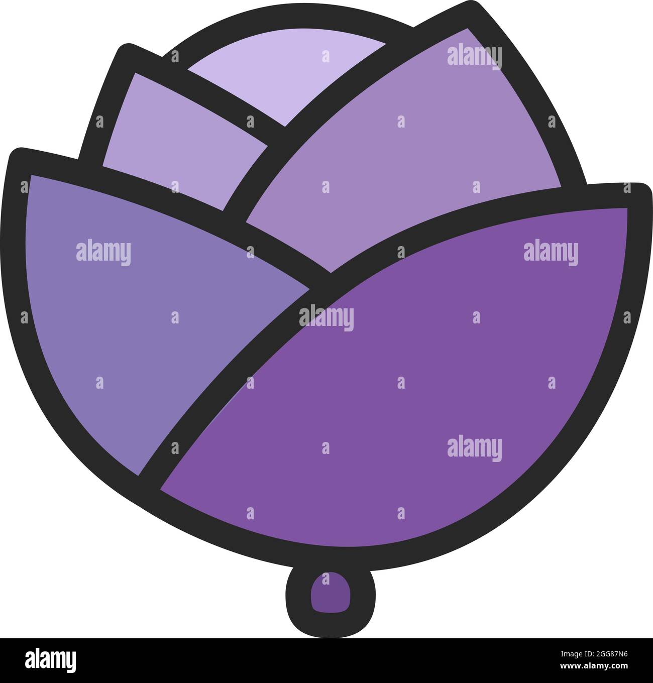 Purple cabbage, illustration, on a white background Stock Vector Image ...