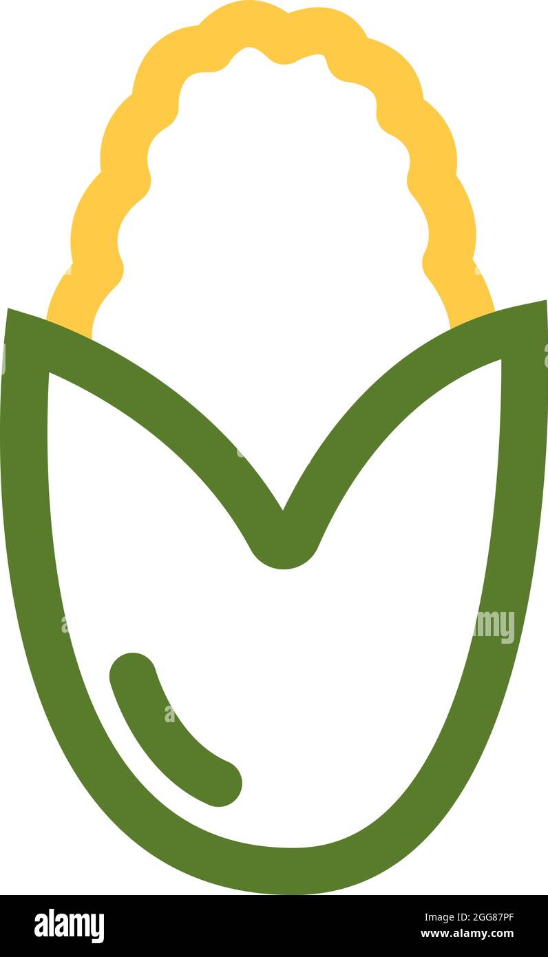 Corn on the cob white background Stock Vector Images - Alamy