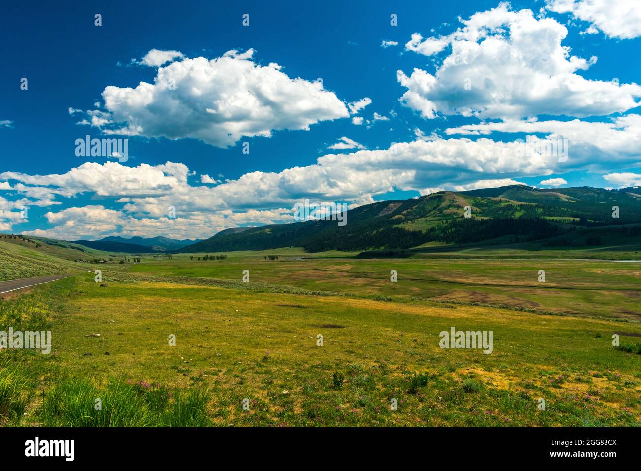 The Lamar River flows through the beautiful Lamar Valley in Yellowstone ...