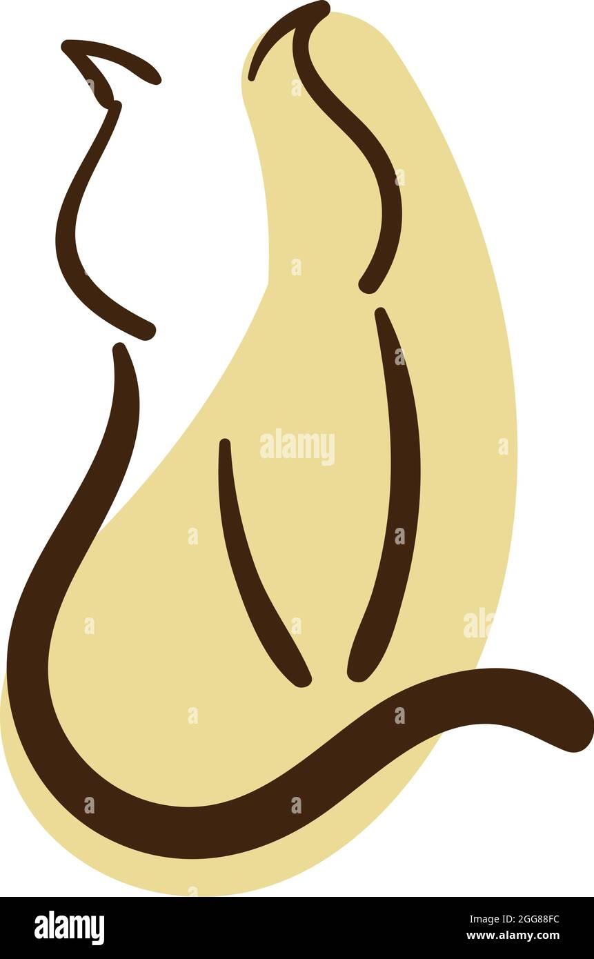 Yellow cat sitting, illustration, vector on a white background Stock ...