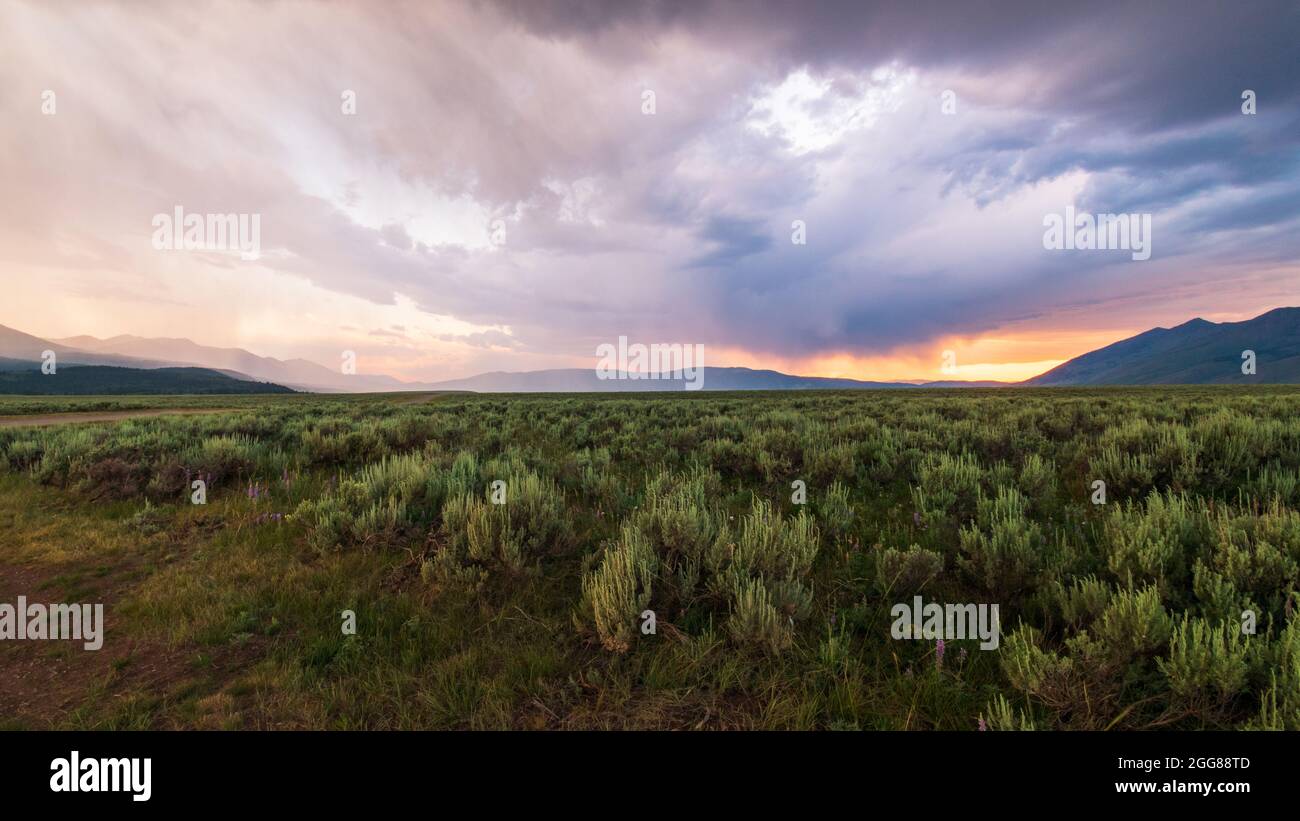 Caribou targhee national forest hi-res stock photography and images - Alamy