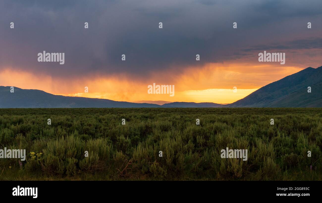 Beautiful sunset over Caribou-Targhee National Forest, Idaho, USA Stock ...
