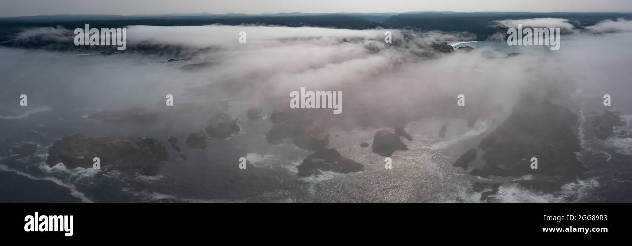 Morning sunlight filters through the coastal marine layer in Mendocino ...