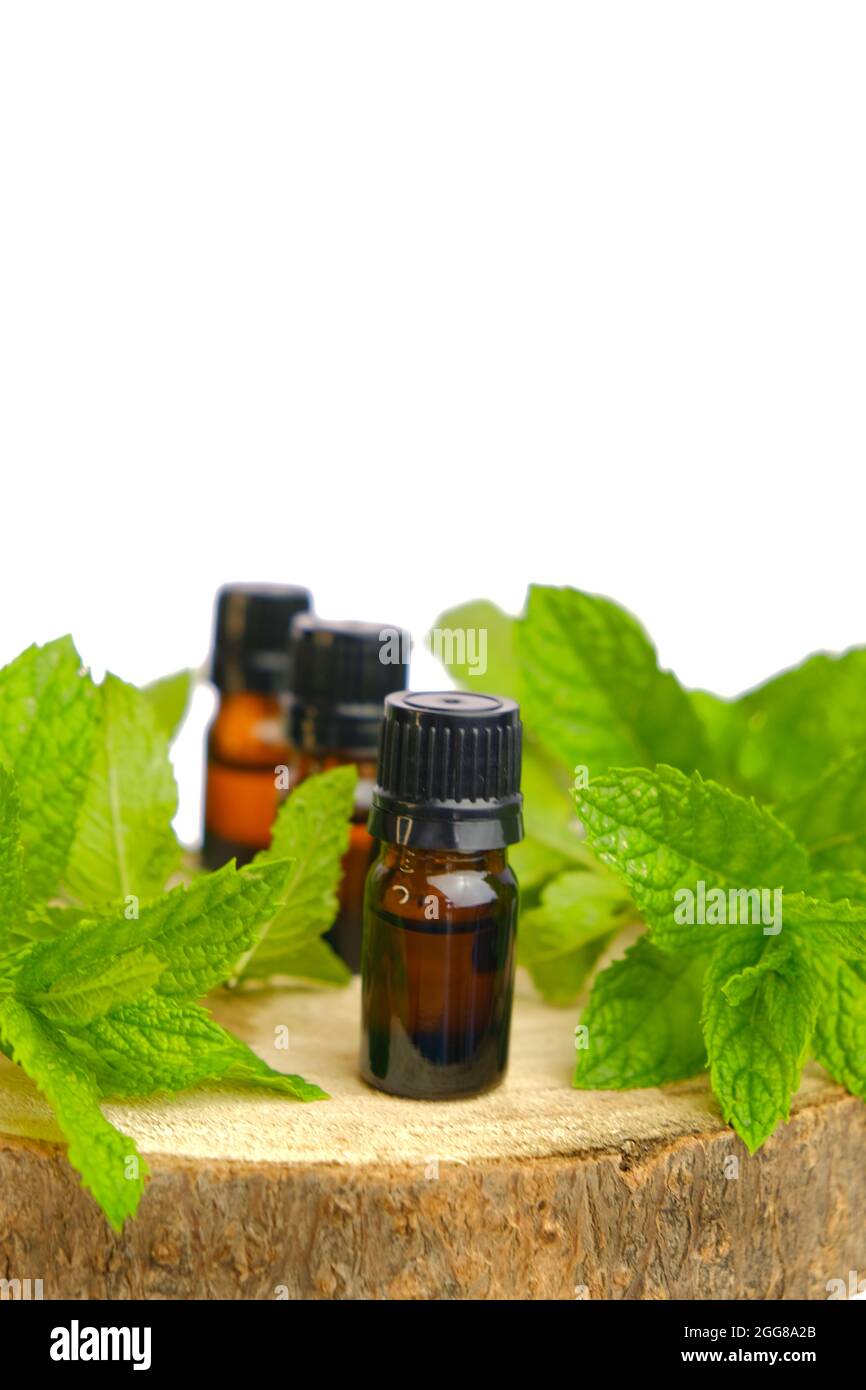 Peppermint essential oil isolated on white background.Glass bottles and ...