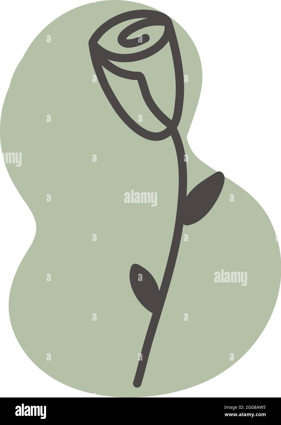 Green rose, illustration, vector on a white background Stock Vector ...