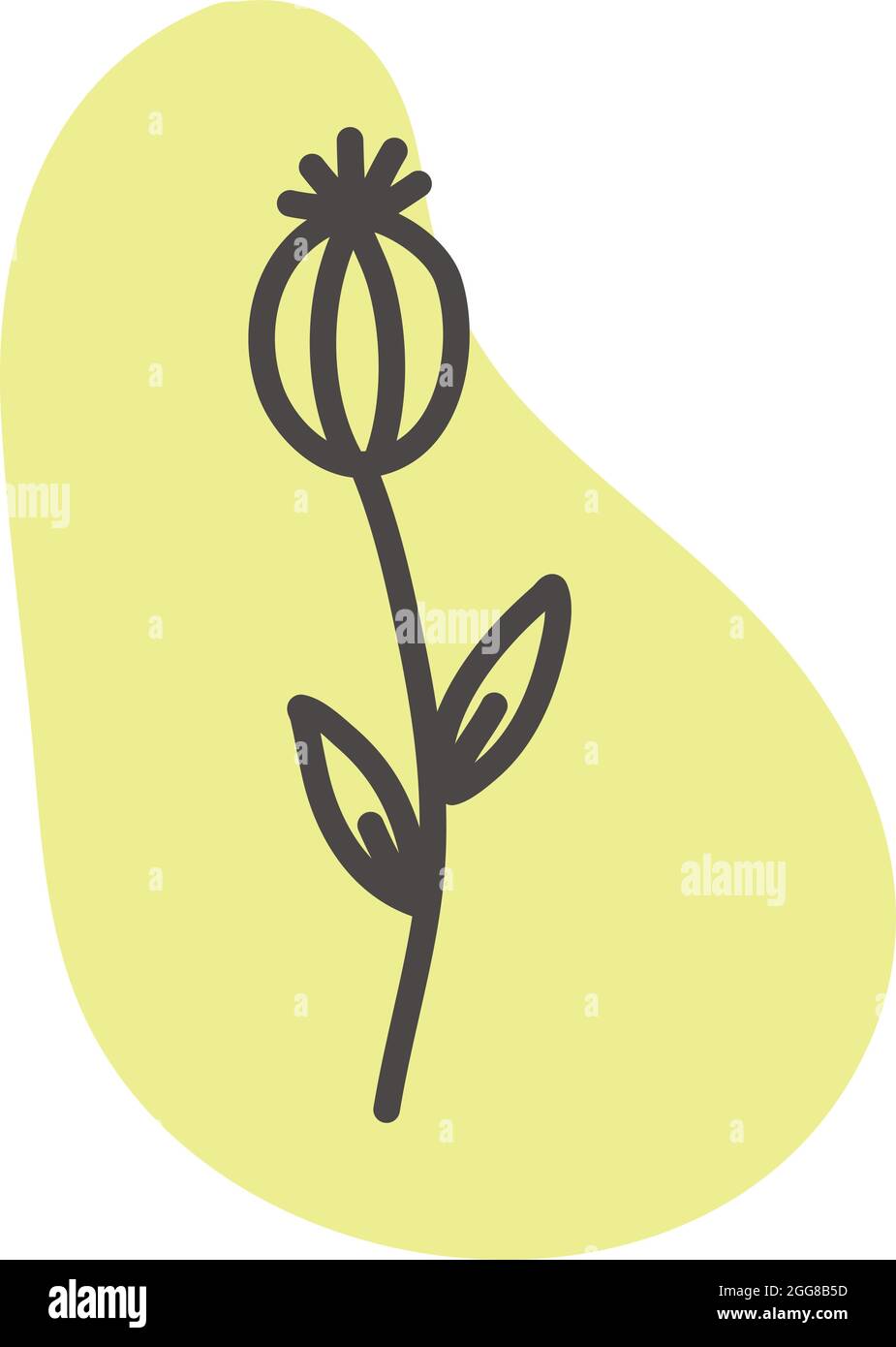 Yellow rose, illustration, vector on a white background Stock Vector ...