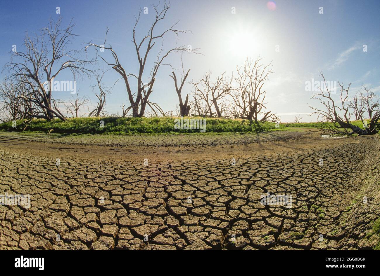 Australia drought dry cracked earth hi-res stock photography and images ...