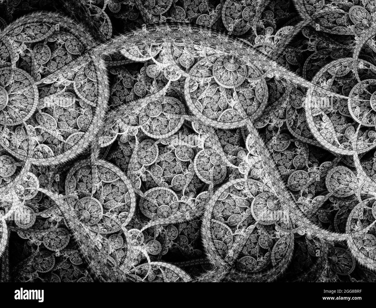 Fractal Black And White