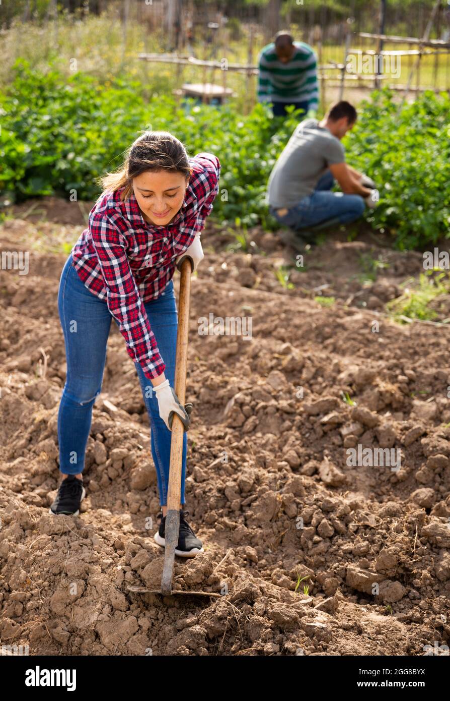 Latino woman with hoe working in field Stock Photo - Alamy