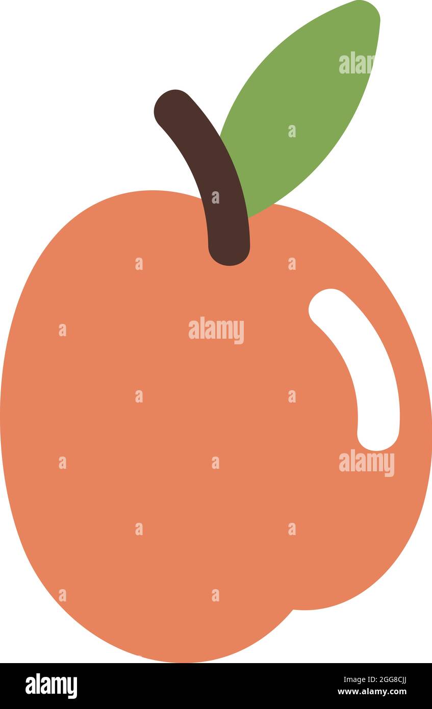 Orange apricot Stock Vector Images - Alamy