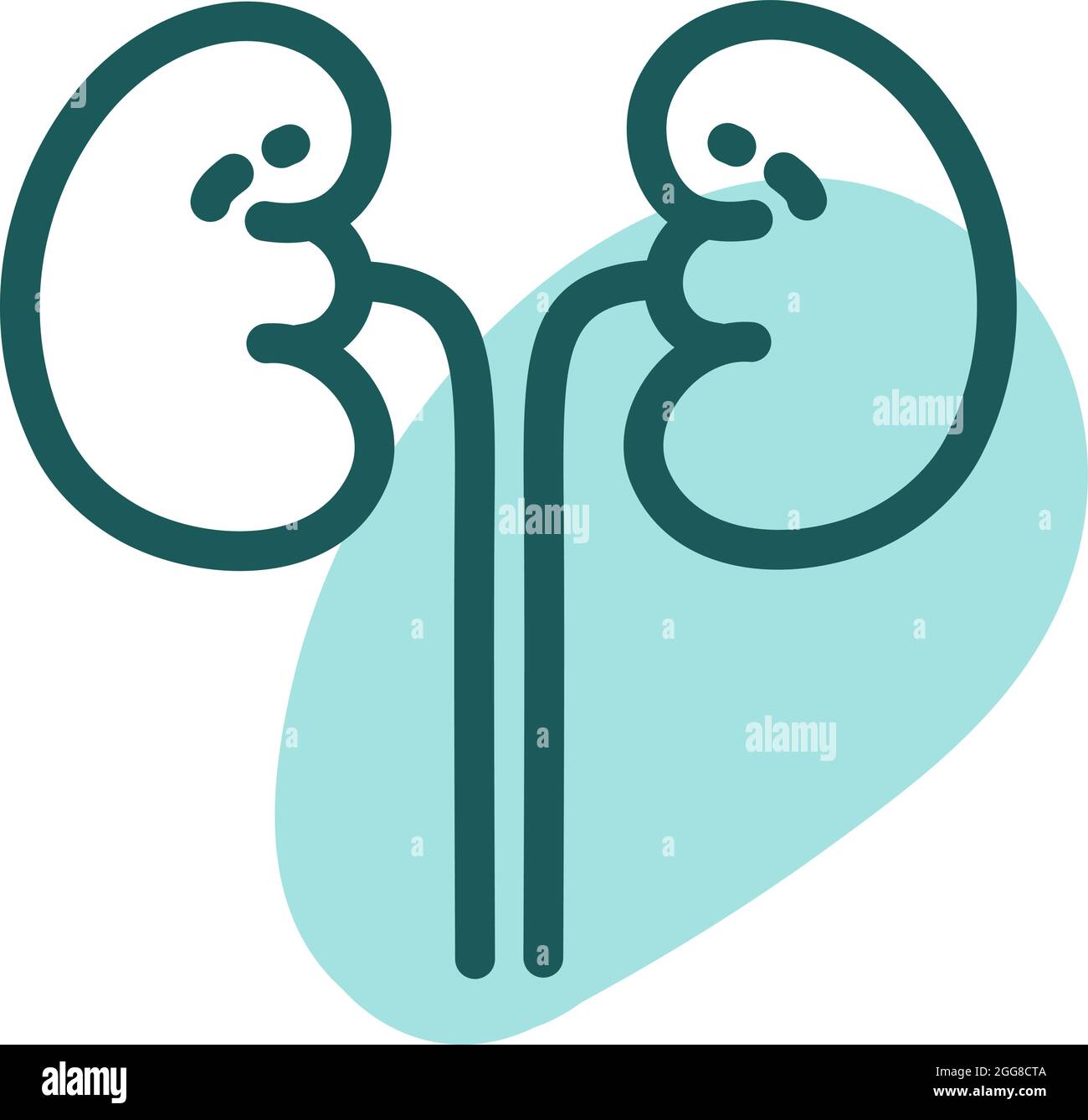 Human kidneys icon cartoon Stock Vector Images - Alamy
