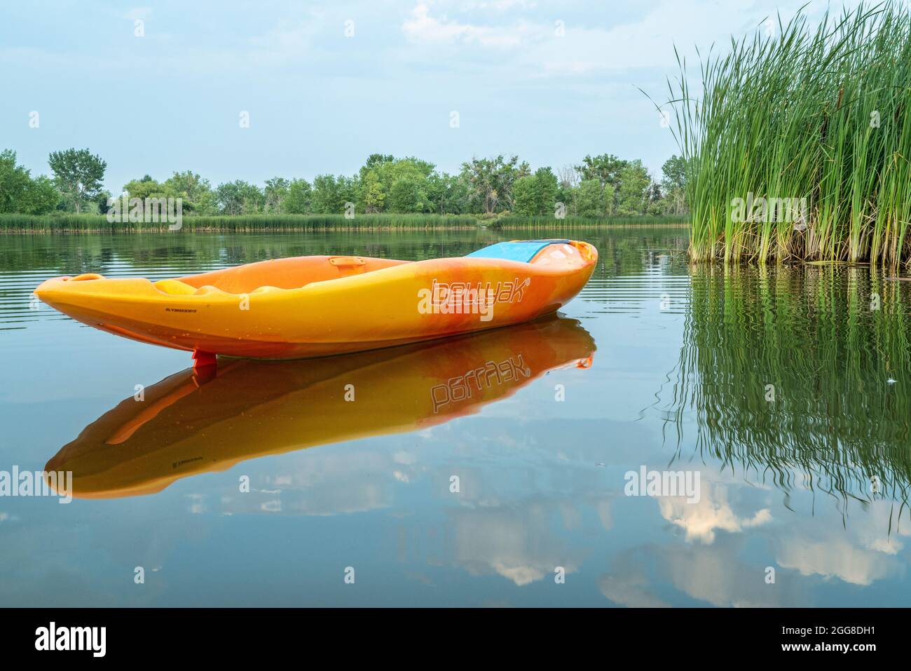 Fort Collins, CO, USA - August 5, 2021: Bellyak, prone kayak, in reeds ...