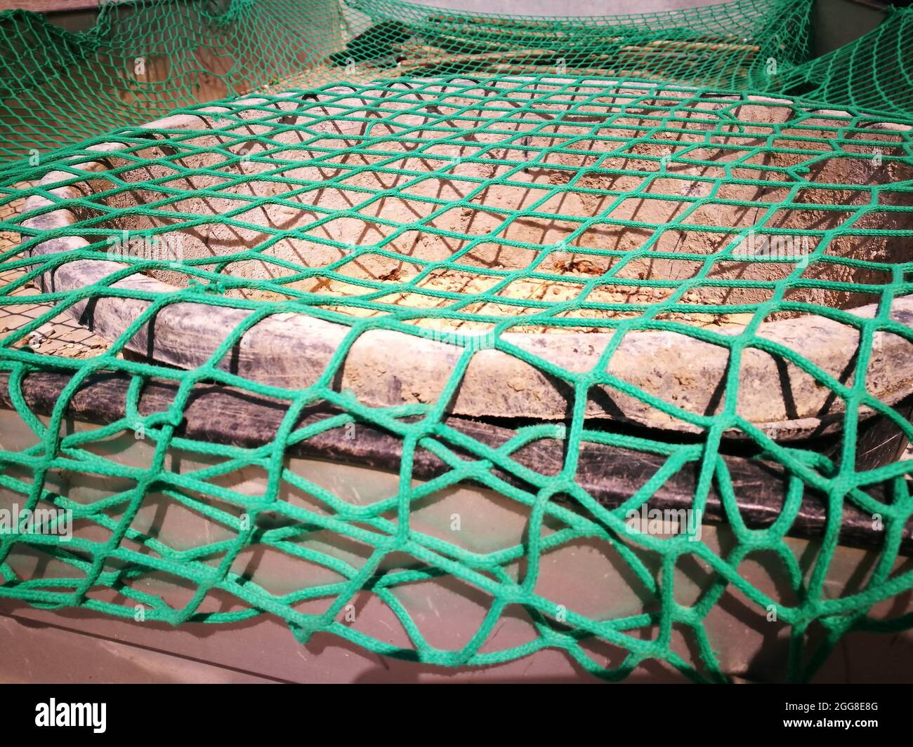 Old green net covering a jar Stock Photo - Alamy