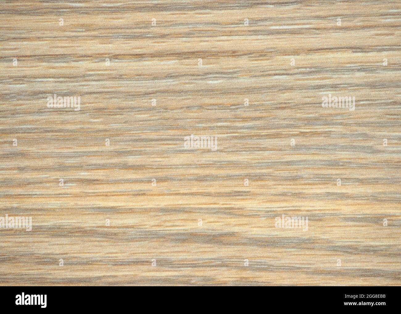 Light larch, natural light wood with a dark striped pattern close-up ...
