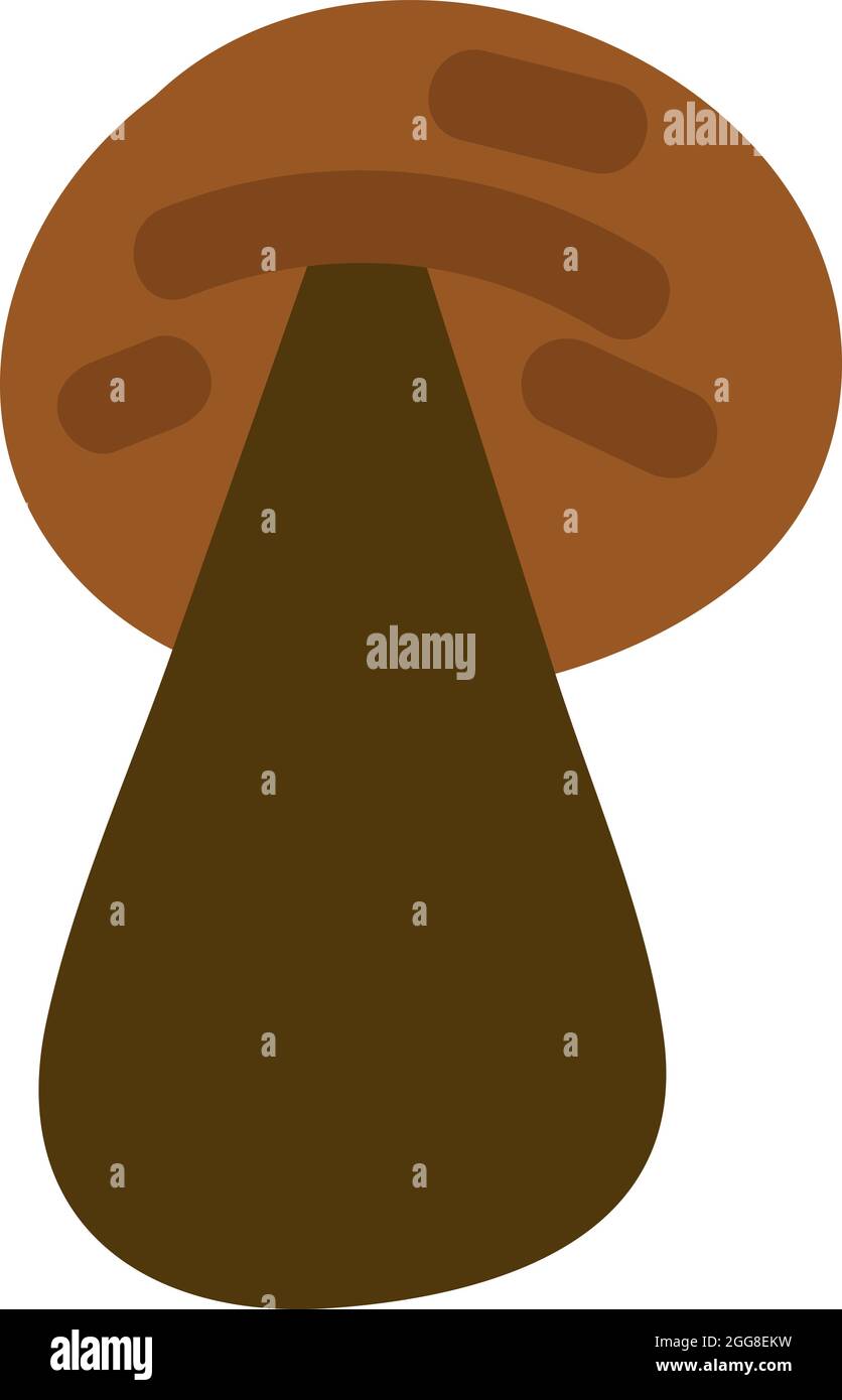 Morel mushroom, illustration, vector on a white background Stock Vector ...