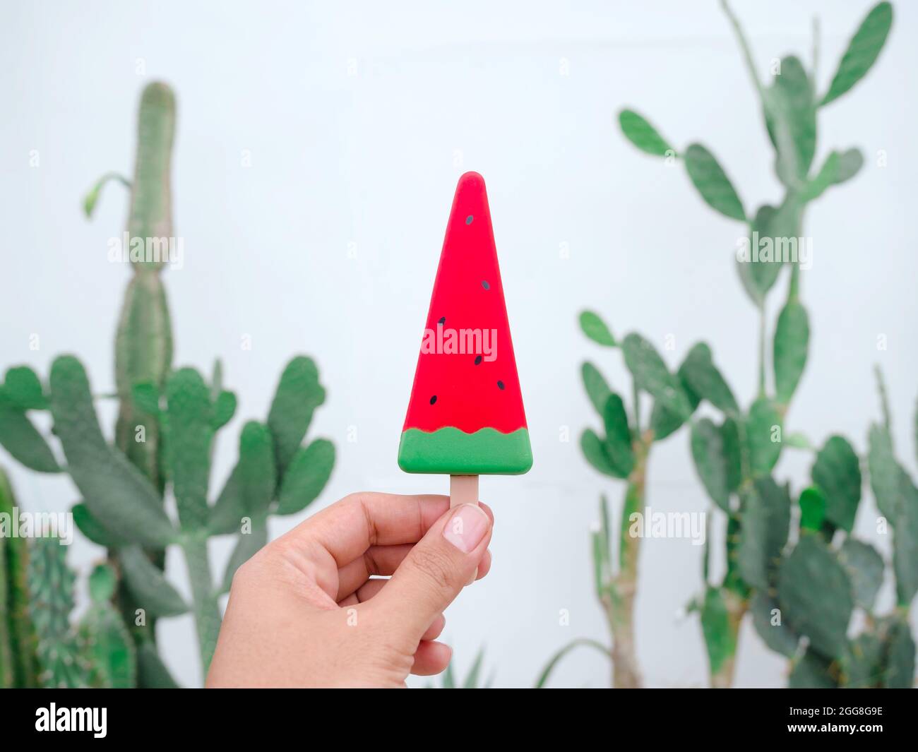 Hand holding artificial watermelon slice popsicle on green cactus ...