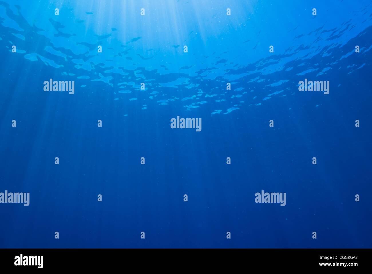 Underwater ocean waves sun rays hi-res stock photography and images - Alamy