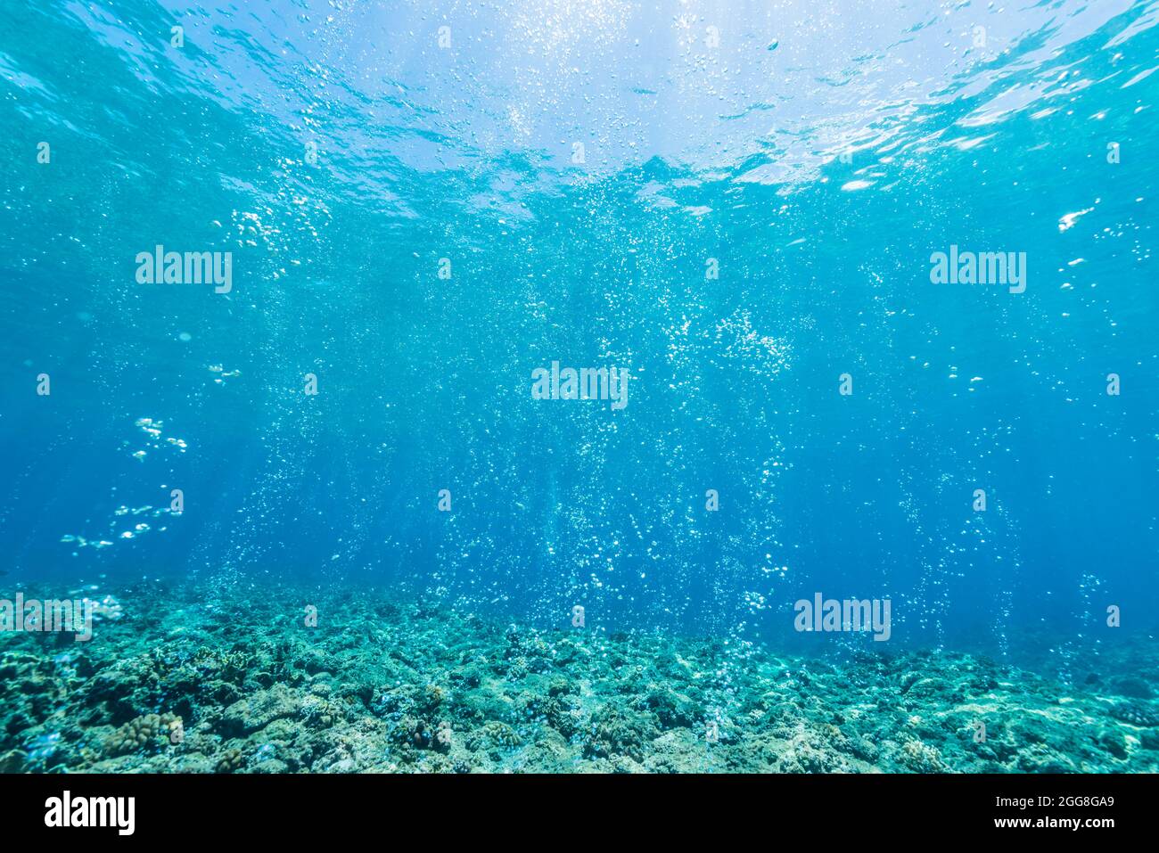 Wet bubble hi-res stock photography and images - Alamy