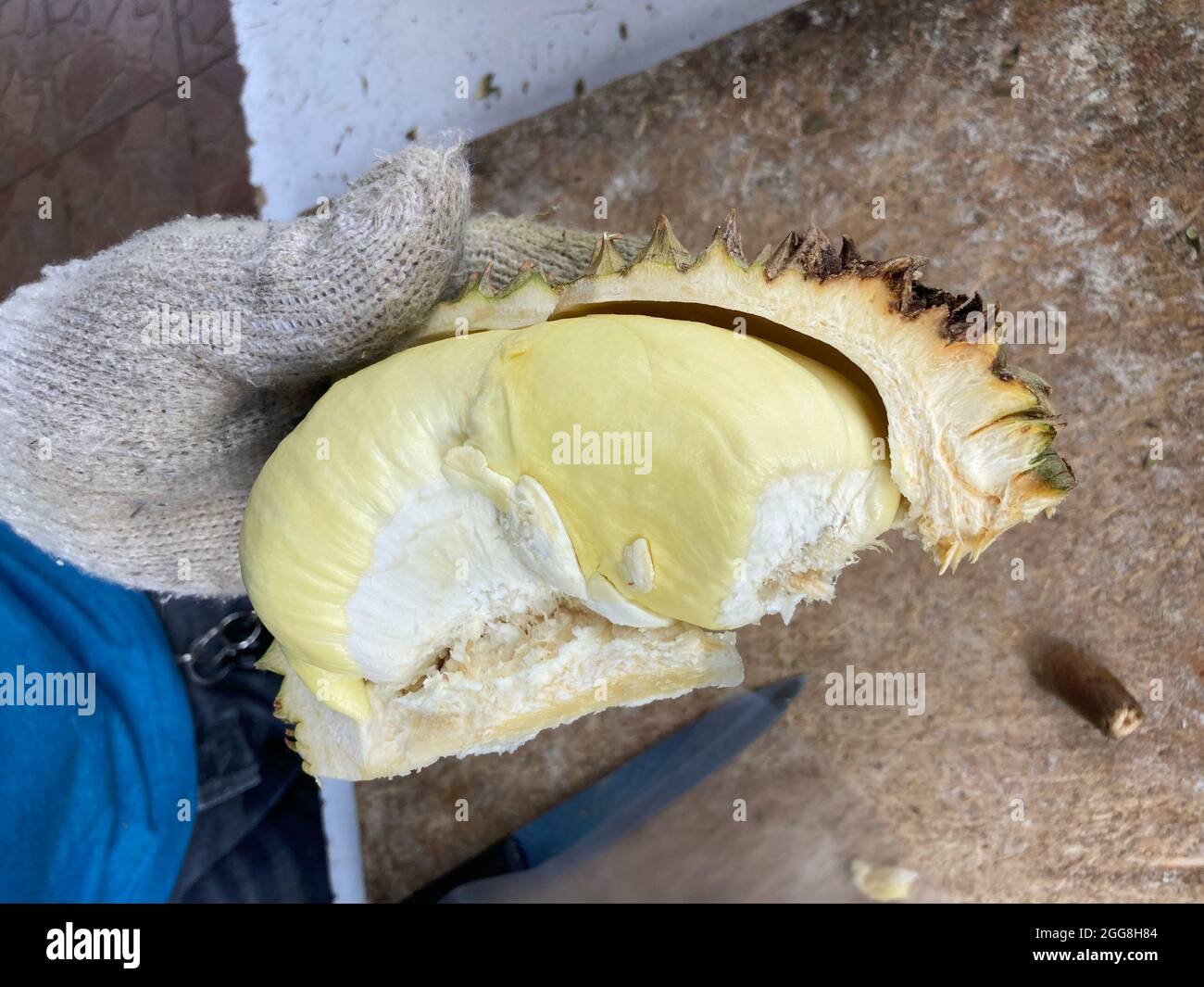 Phuket, Thailand. 27th Aug, 2021. The cream-colored flesh of a durian ...