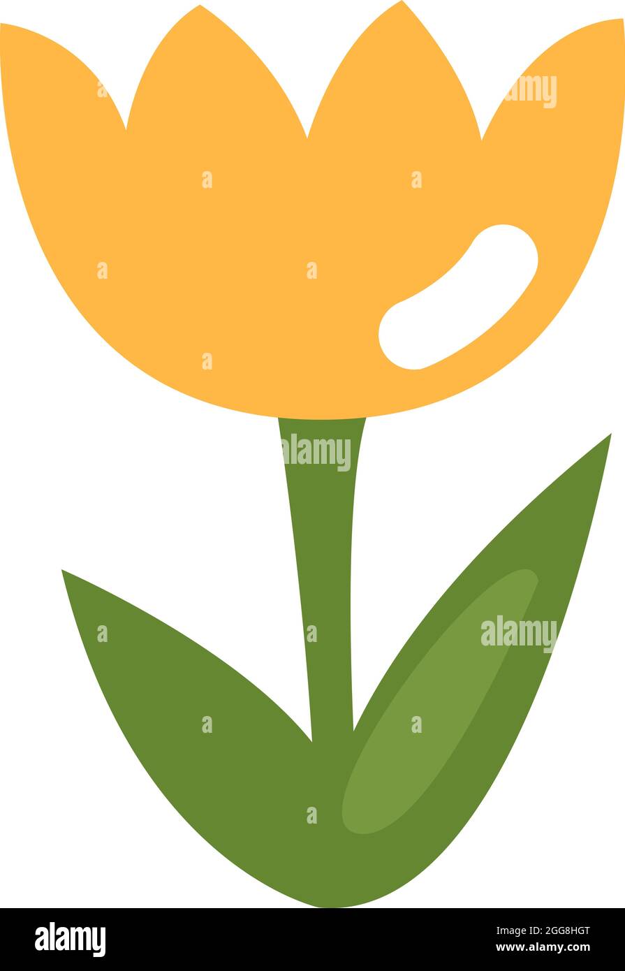 Yellow poppy,illustration, vector, on a white background Stock Vector ...