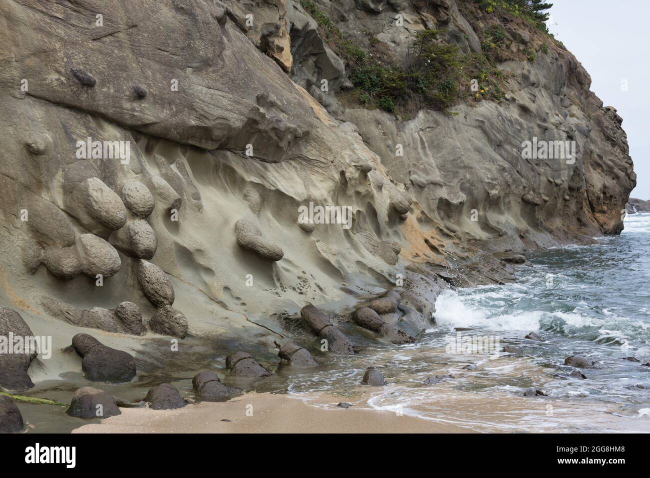 Rock concretions, at Shore Acres State Park on the coast of Oregon at ...