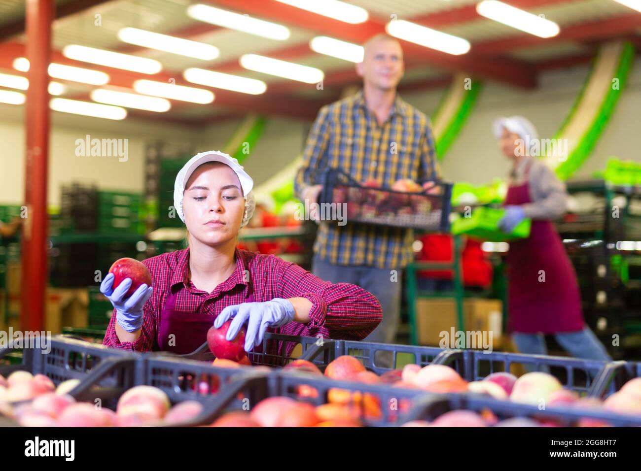 Packaging delivery worker hi-res stock photography and images - Alamy