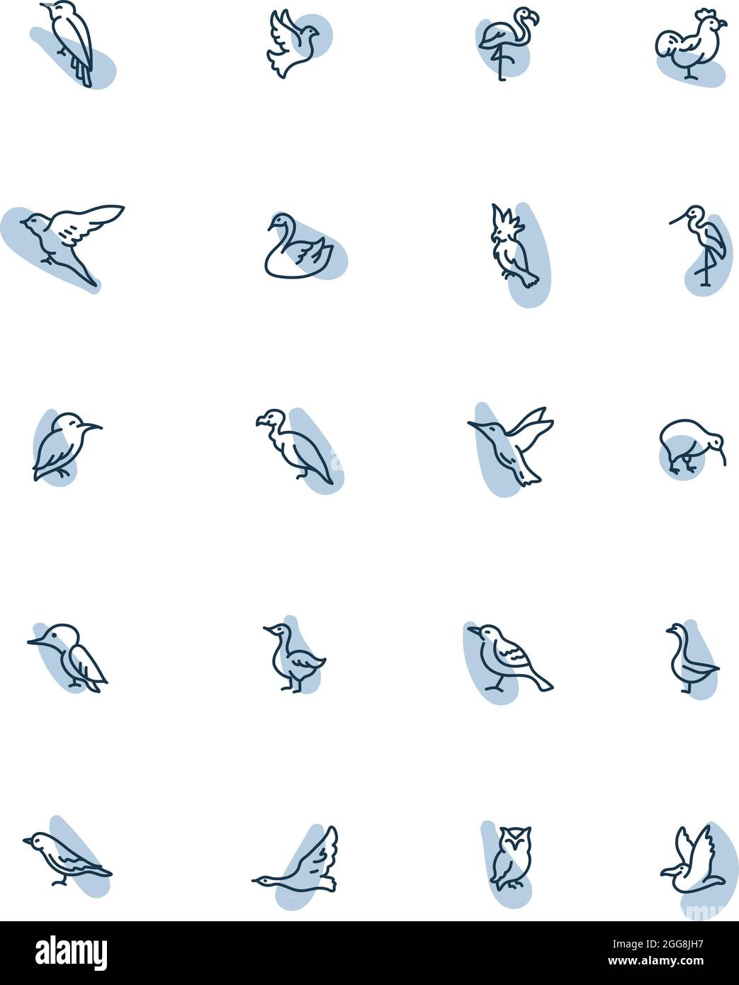 Bird icon set, illustration, vector, on a white background Stock Vector ...