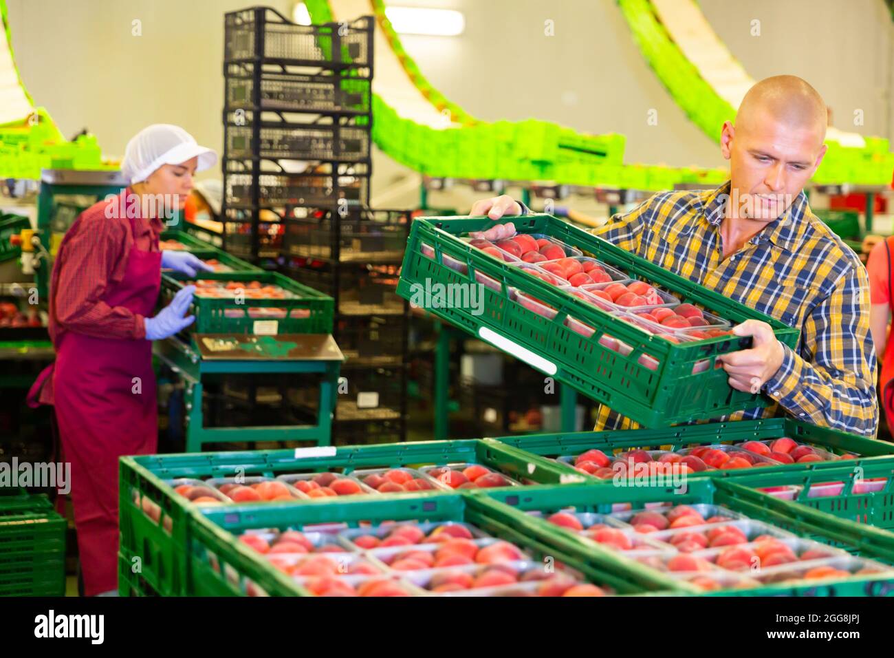 European Woman and man working Stock Photo - Alamy