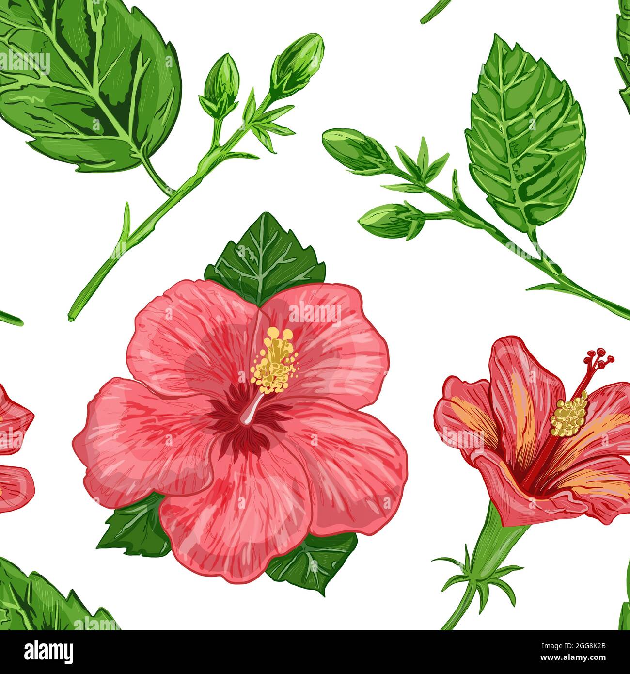illustration of a seamless pattern of hibiscus plants flowers and ...